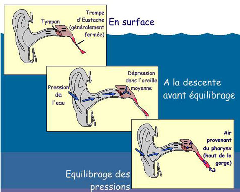 CSCP-Les accidents espace proche et median N2&3